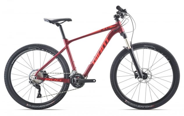 2021 XTC 800 PLUS – BIKE STATION
